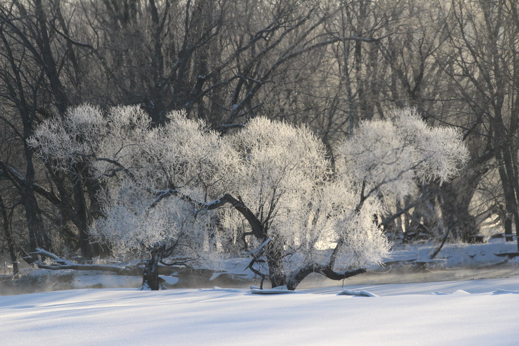 Present in Nature | News, Sports, Jobs - Times Observer